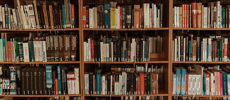 Beyond the Classroom: Starting a New Library in Niger - TeachBeyond UK