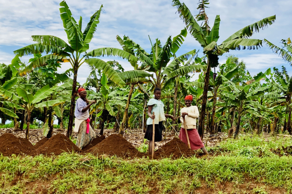 TeachBeyond Uganda - TeachBeyond UK